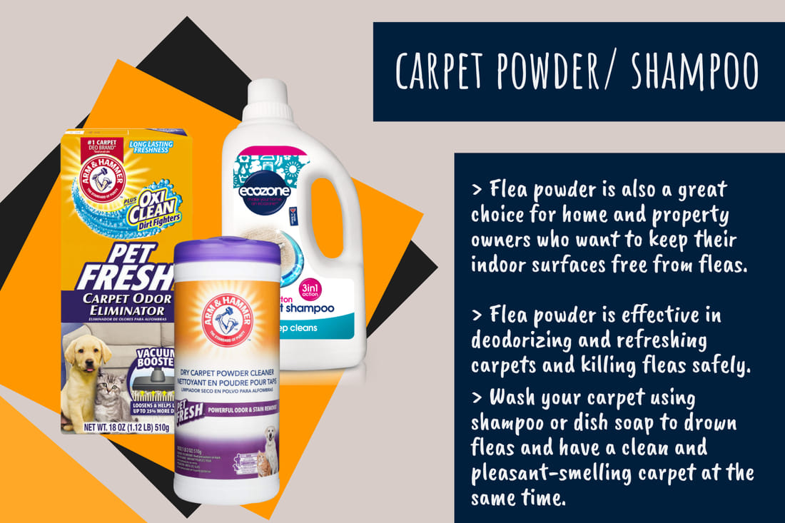 How To Get Rid Of Fleas in the Carpet: Easy Home Remedies That Works