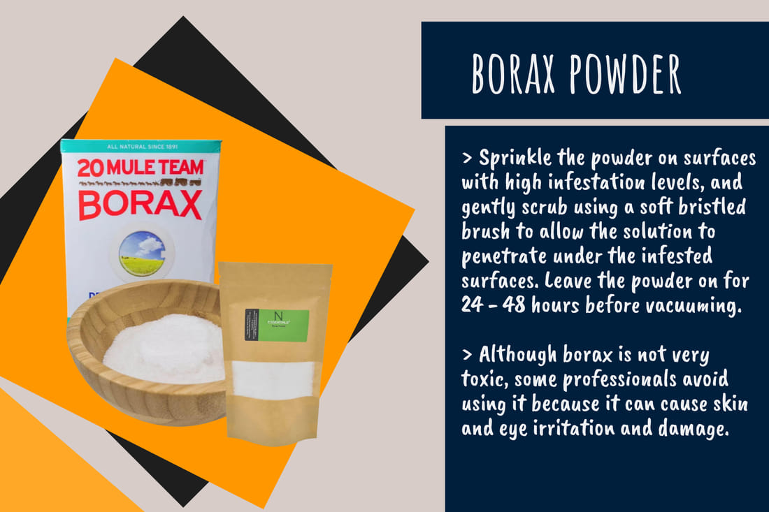 How To Get Rid Of Fleas in the Carpet: Easy Home Remedies That Works