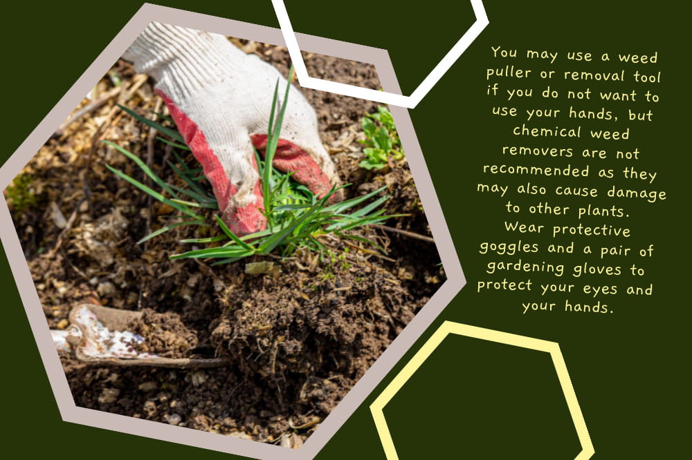 How To Maintain Rock Landscaping For A Clean And Beautiful Appearance