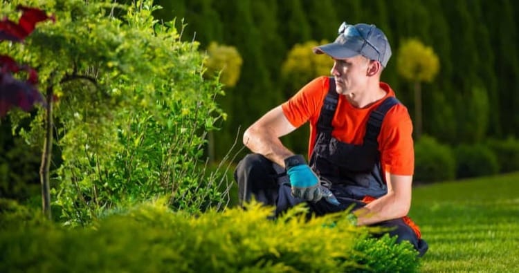 8 Things to Consider When Choosing A Local Landscape Contractor